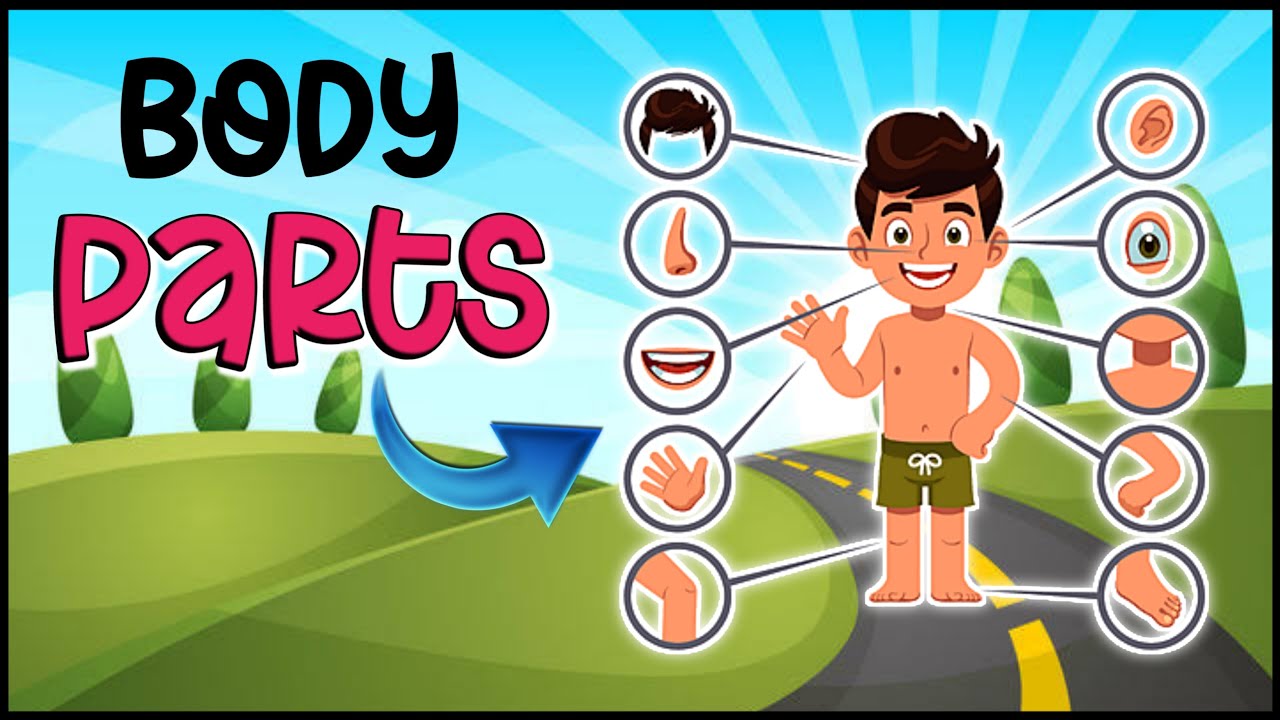 Learn Body Parts | Parts of the Body in English | Human Body Parts ...