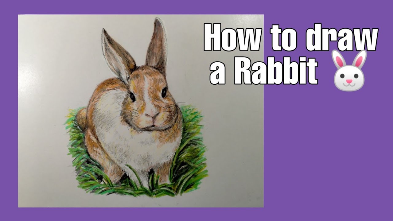 How to draw a Rabbit 🐰 - YouTube