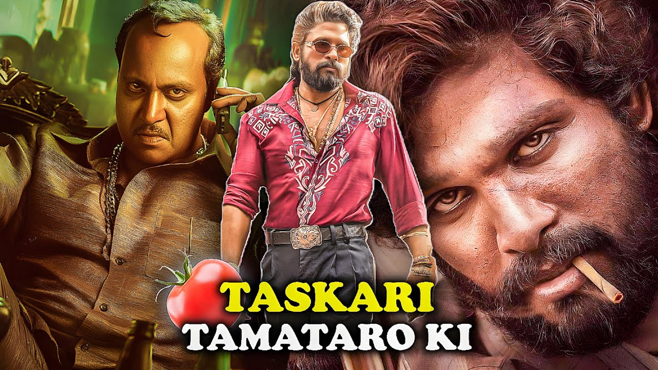 PUSHPA THE TAMATOR CHOR | EXPLAIN by AN IDIOT!! - YouTube