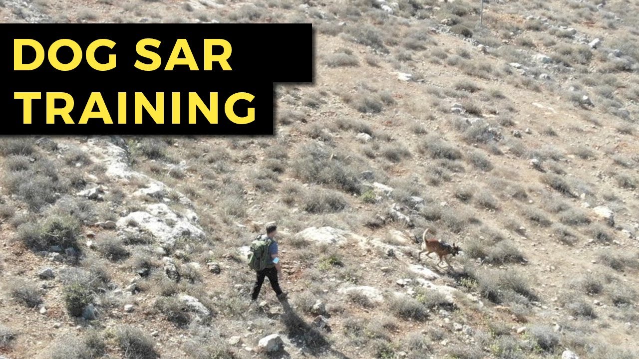 Dog Search and Rescue Training | Teaching Dog Search and Rescue - YouTube