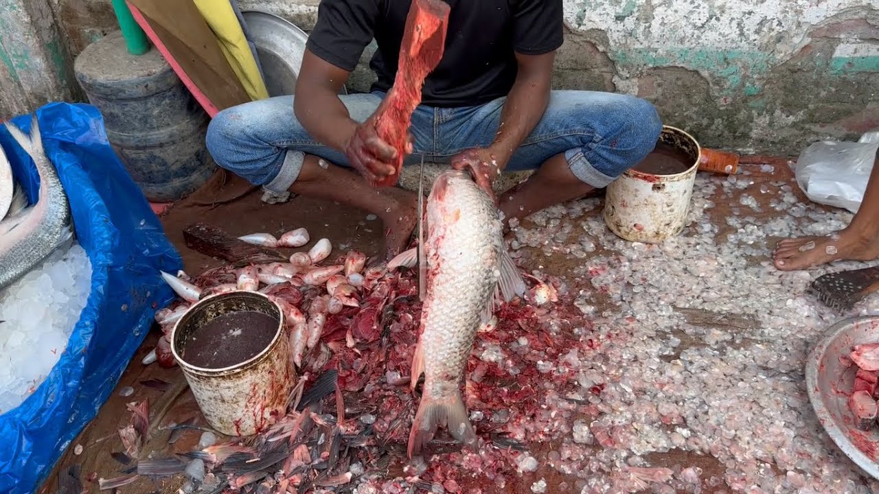 Mastering the Art of BIG Rui Fish Cutting Pro Tips and Techniques for ...