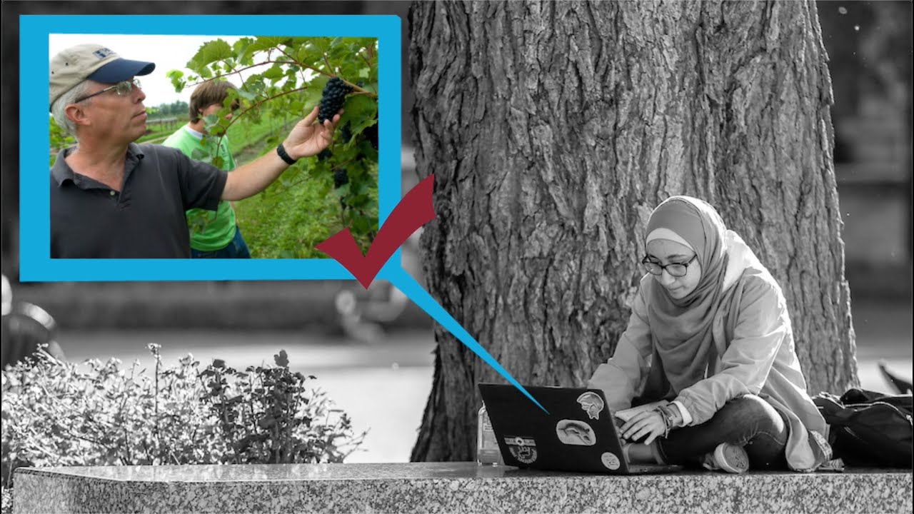 Tutorial: What is a scholar? - YouTube