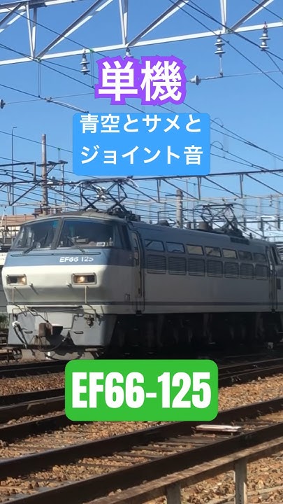【EF66-125】規則正しく乾いたジョイント音 単機でやってきた8865レ 20240810 - YouTube