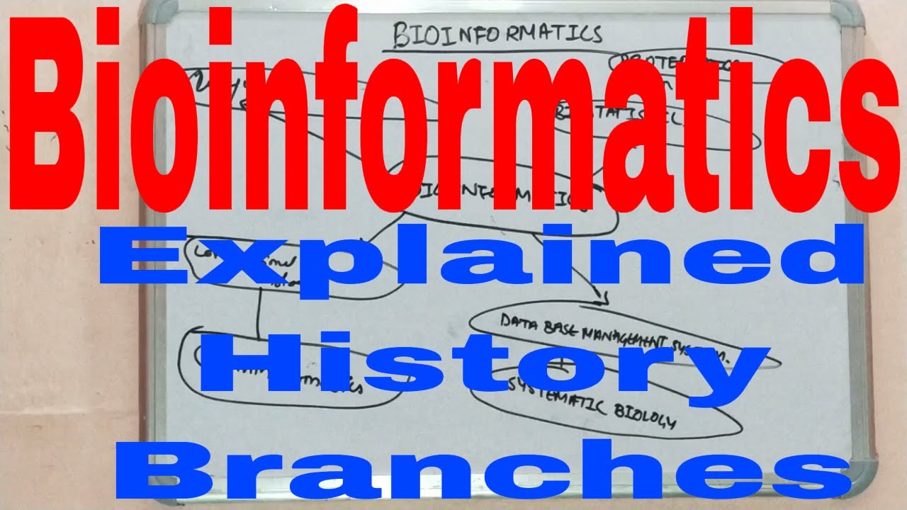 Bioinformatics|What is bioinformatics|History of bioinformatics ...