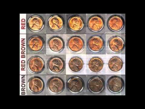 Darwin- The Creator of Out of Africa - YouTube