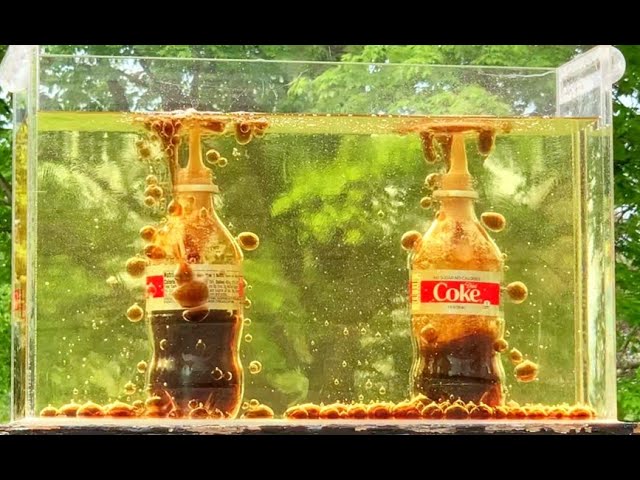 Coke And Mentos