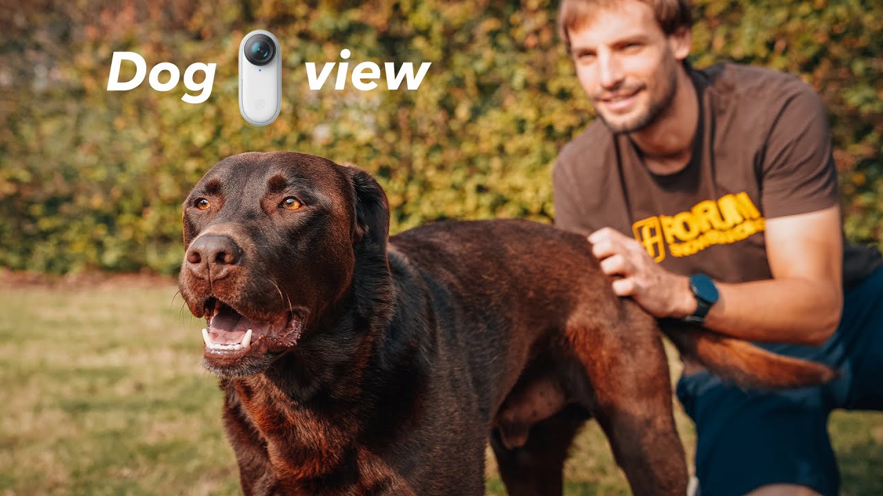 A Dog's View | Insta360 GO 2 | Diary #17 - YouTube