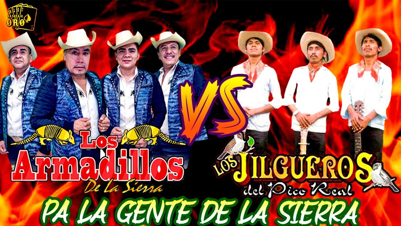 Dueto Los Armadillos, Los Jilgueros Del Pico Real - 30 Corridos ...