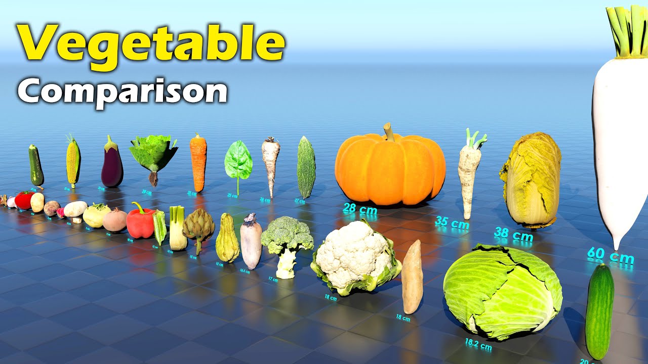Vegetable Size Comparison - YouTube