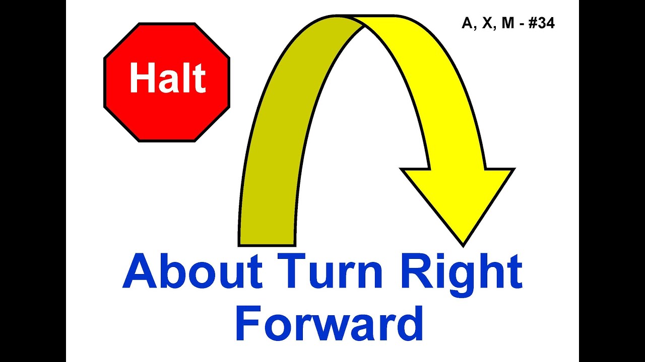 ANKC 2021 Rally Sign #34: Halt - About Turn Right and Forward (Advanced ...