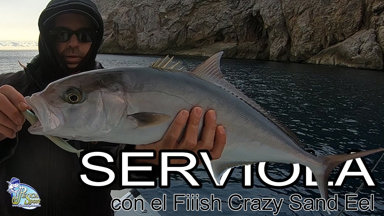 SERVIOLA con el Fiiish Crazy Sand Eel - YouTube