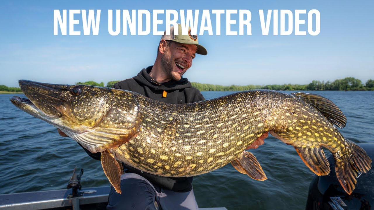 Pike attacks camera! - New Underwater Pike Attack Compilation - YouTube