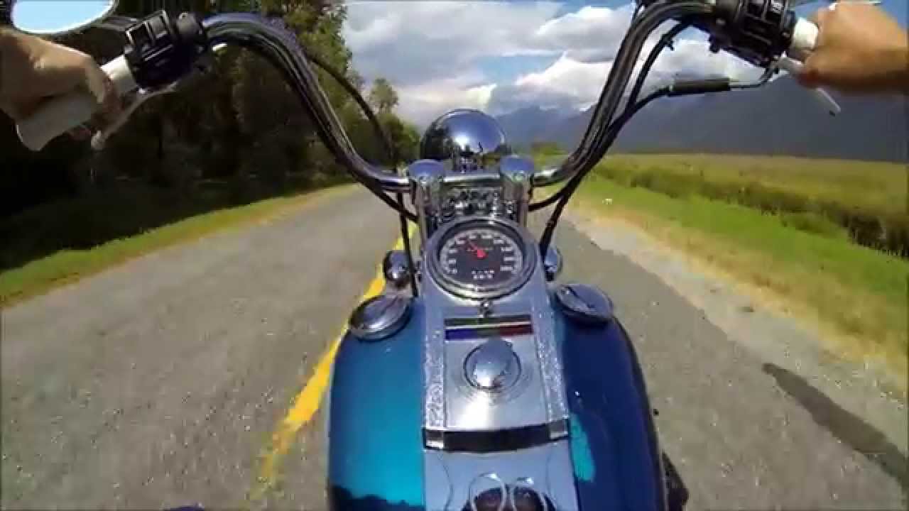 1990 Harley Davidson Springer Softail - YouTube
