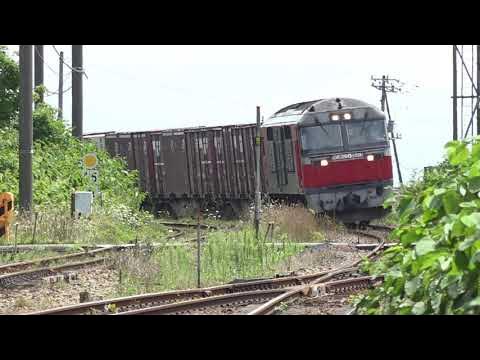レッドベアーDF200-59号機牽引 3084レ 室蘭本線 礼文駅停車と上り下り特急北斗スライド - YouTube