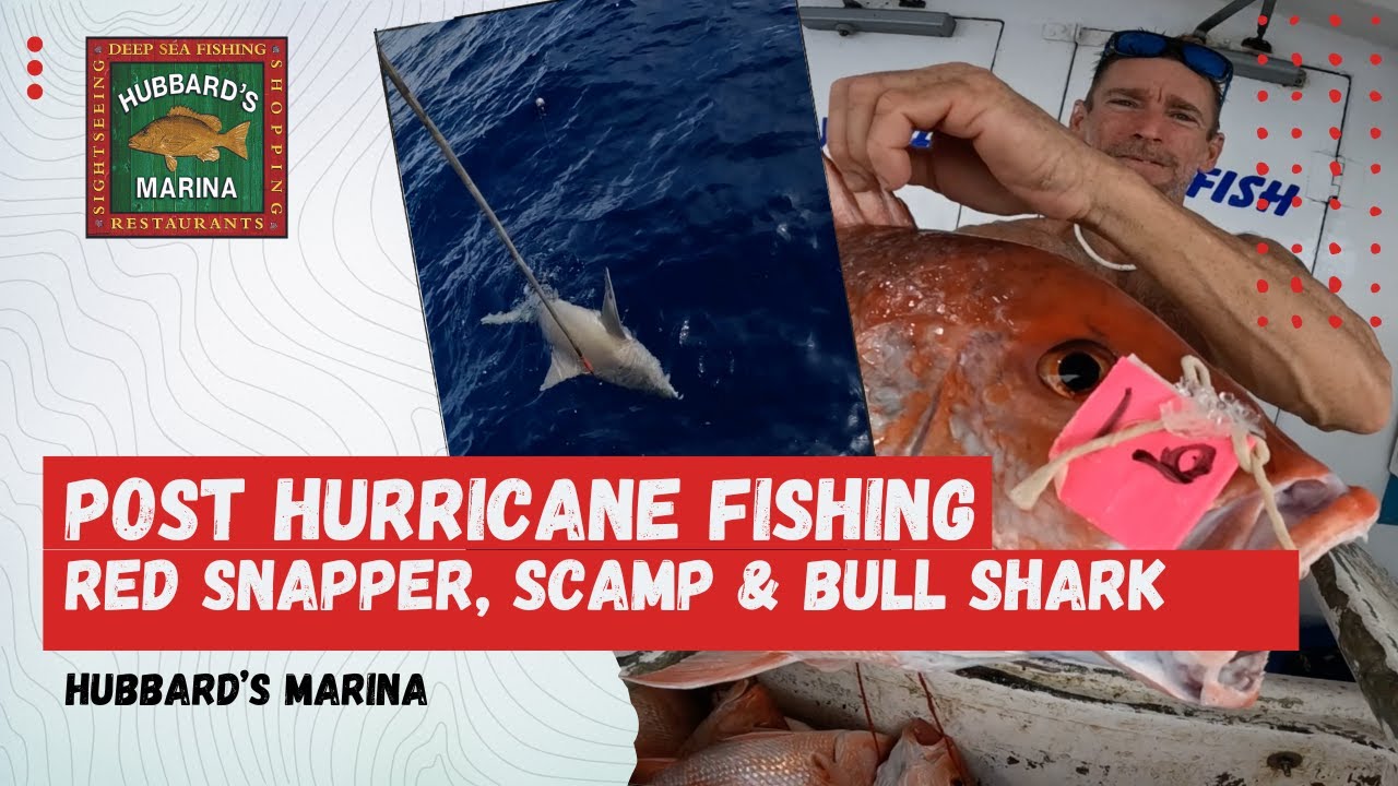 Post-Hurricane Offshore Fishing Adventure: Red Snapper, Mangrove ...