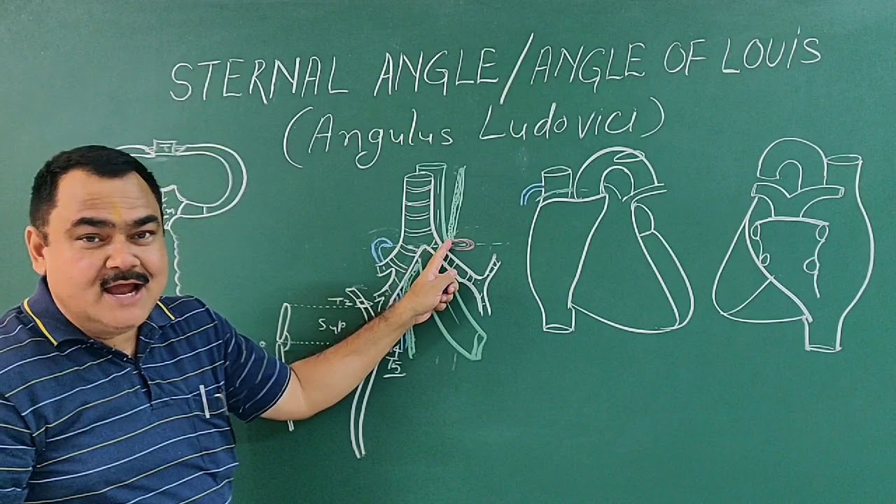 Angulus Ludovici by Dr A K Singh - YouTube