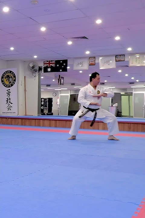 Seipai Kata Goju Ryu by Davy Wijaya Sensei Yukan Kai Karate Do - YouTube