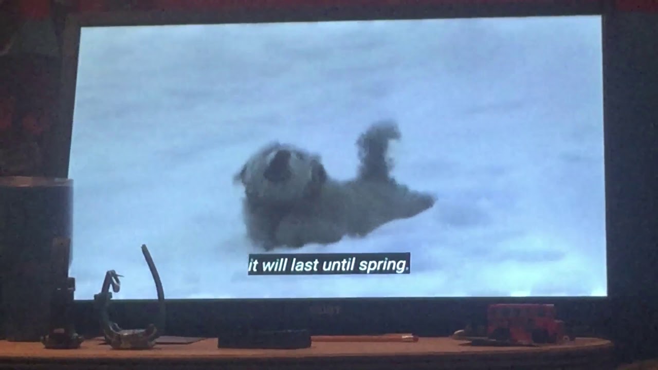 AFV Release The Hounds Part 2 - YouTube