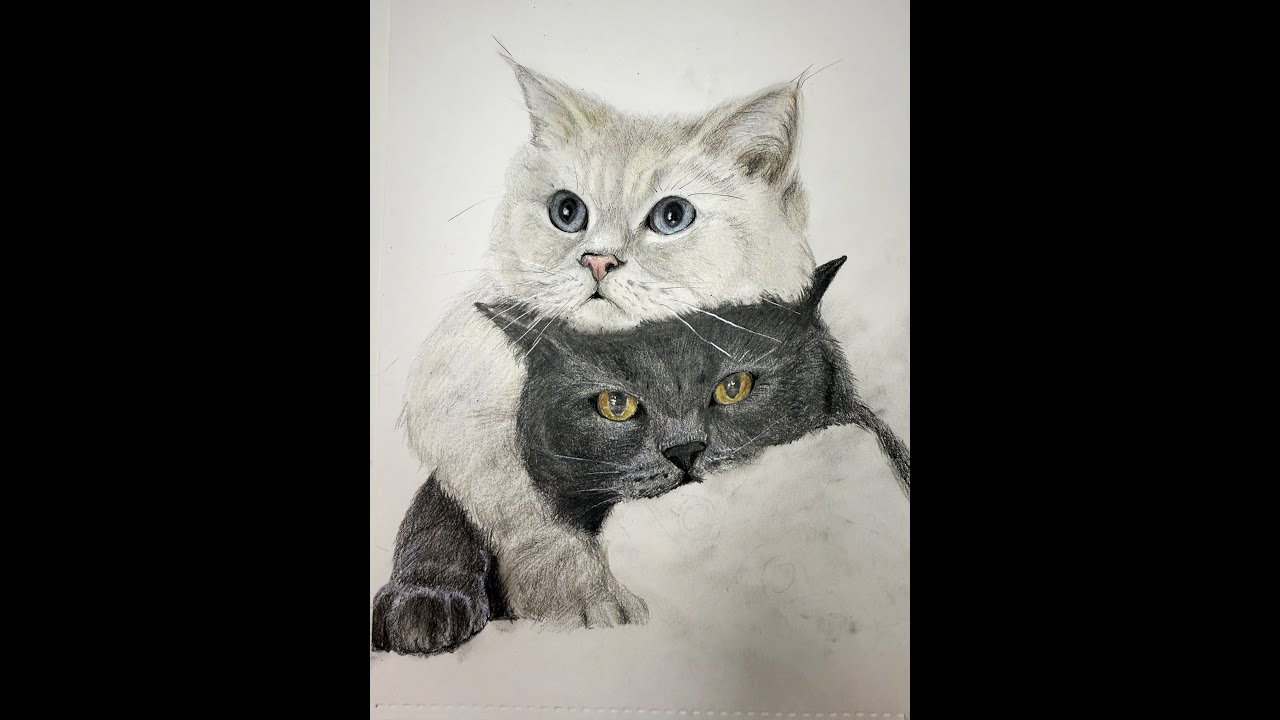 How to Draw a Cat with colored pencils: Step-by-Step Guide for Aspiring ...