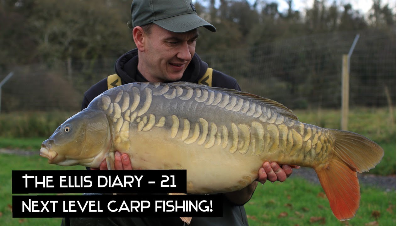 THE ELLIS DIARY - NEXT LEVEL CARP FISHING! - YouTube