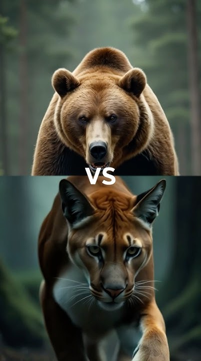 The Ultimate Animal Showdown! - YouTube