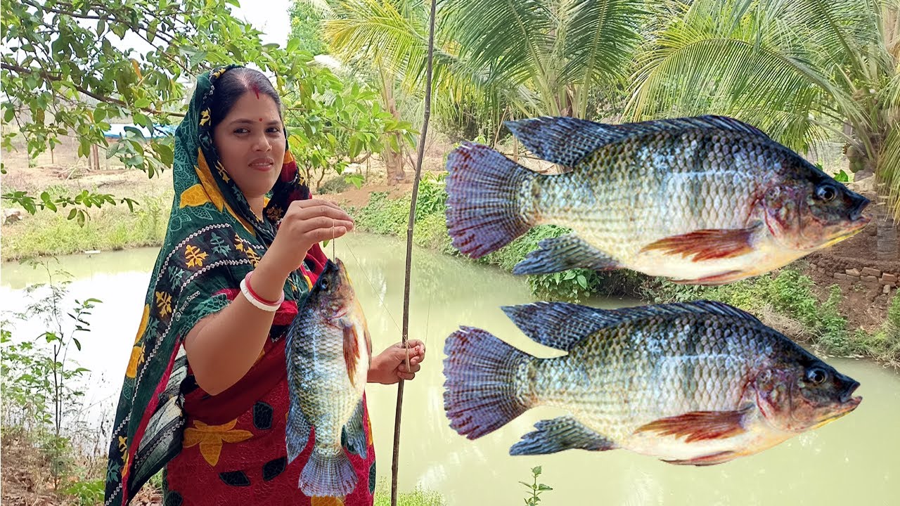 Fish hunting | amazing catching fish, cooking&eating in village life ...
