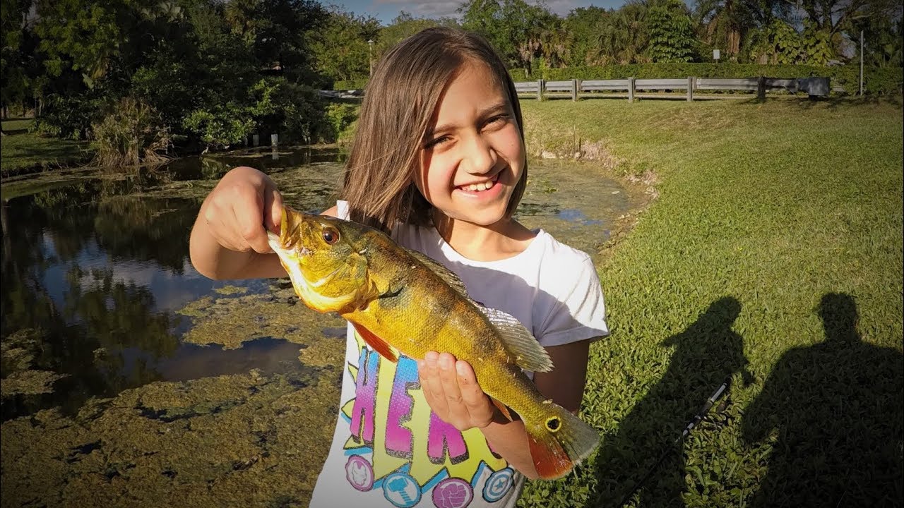 Surprise Catch While Bass Fishing in a Florida Canal!!! - YouTube