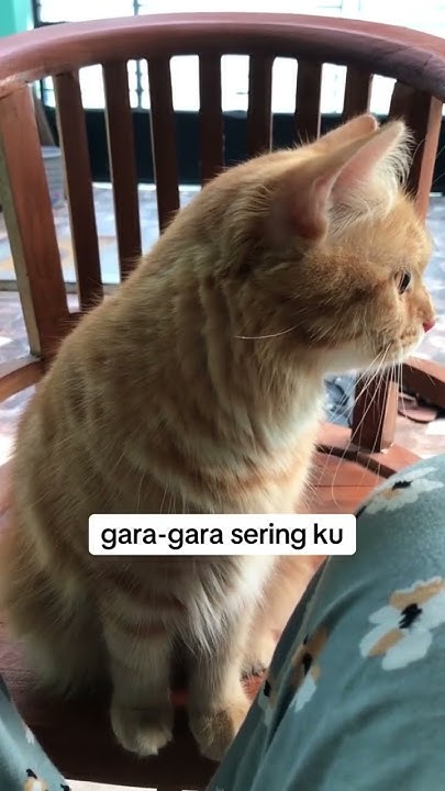 Babuku marah 😂 - YouTube