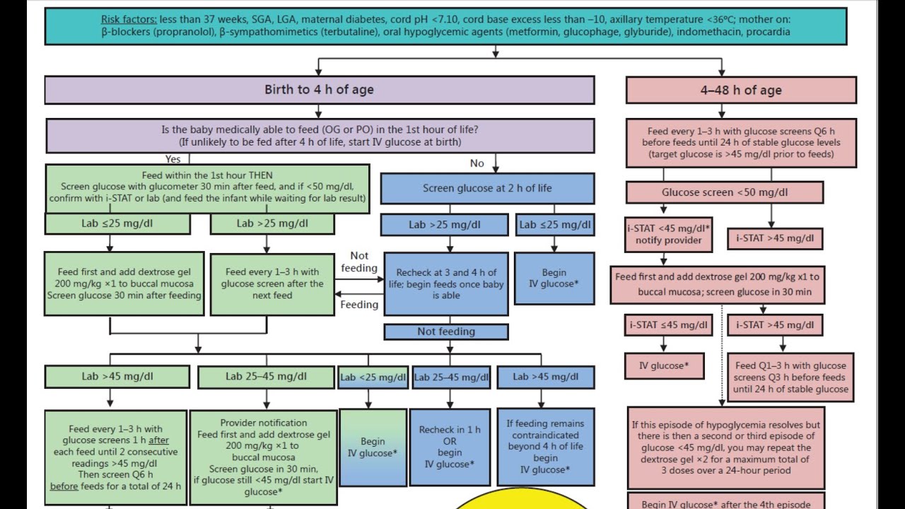 Neonatal Hypoglycemia - YouTube