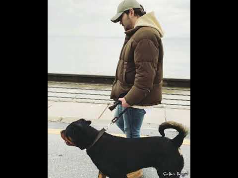 Çağan Şengül - Son Defa (Cover)