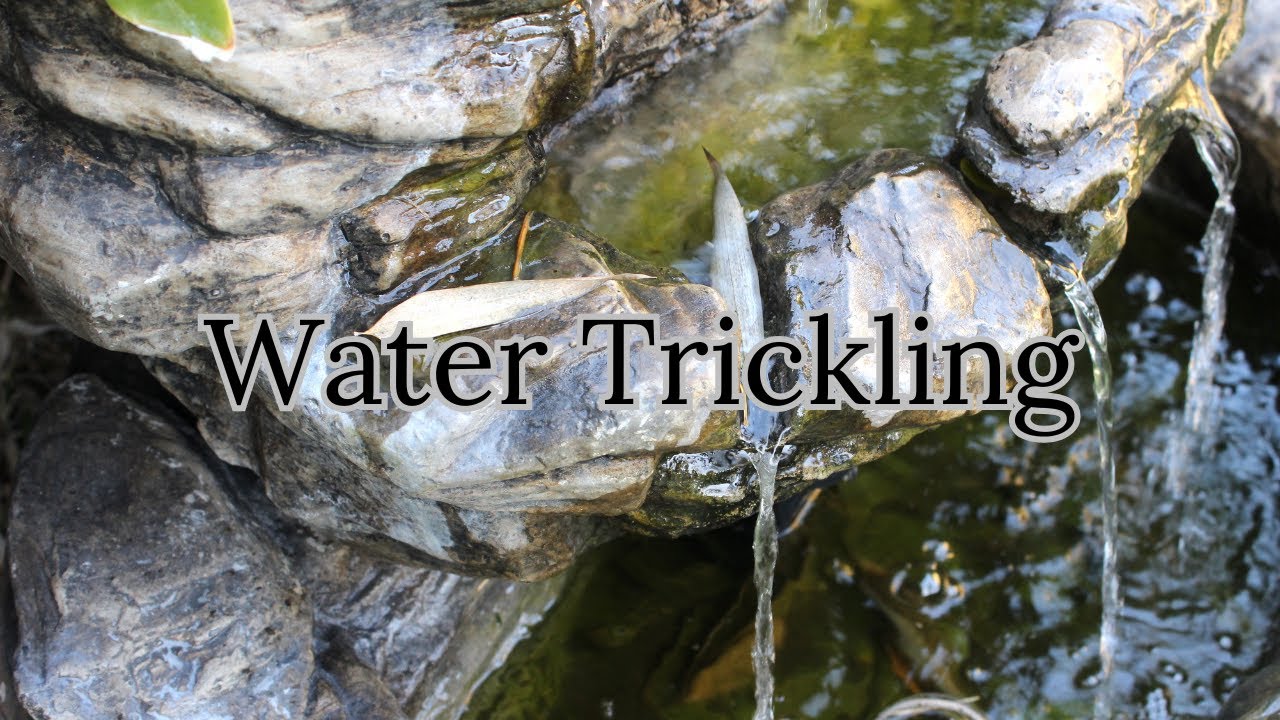 Water Trickling Sound for Relaxation | 3 Hours | Calming Ambience for ...