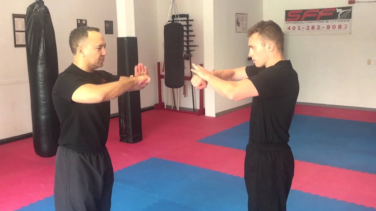 Sanshou Techniques for the Street - YouTube