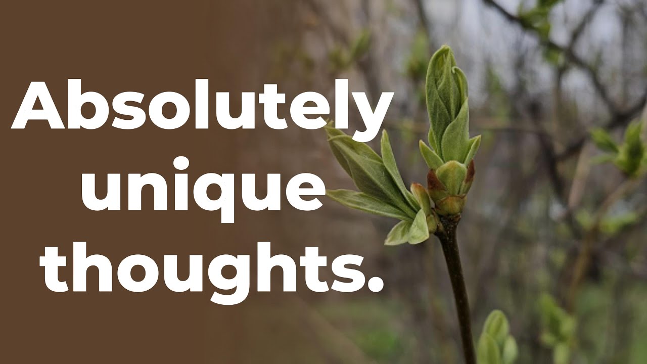 Absolutely Unique Thoughts - YouTube