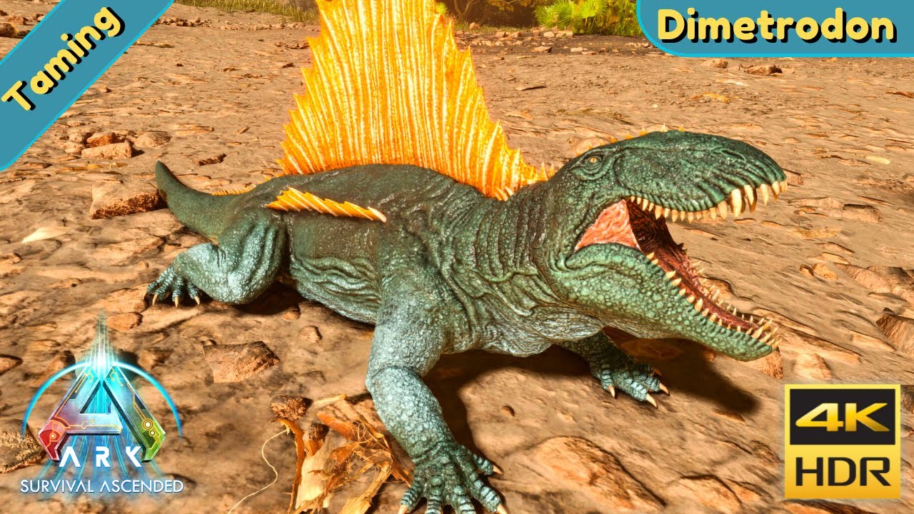 ARK Survival Ascended : Tame a Dimetrodon - YouTube