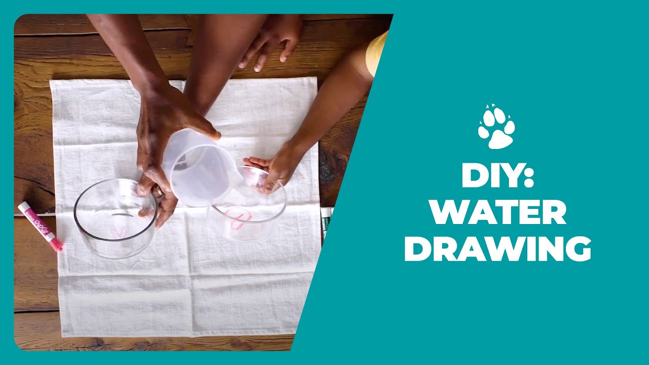 DIY Water Drawing Activity with Oliver | How to Make Your Drawings Move ...