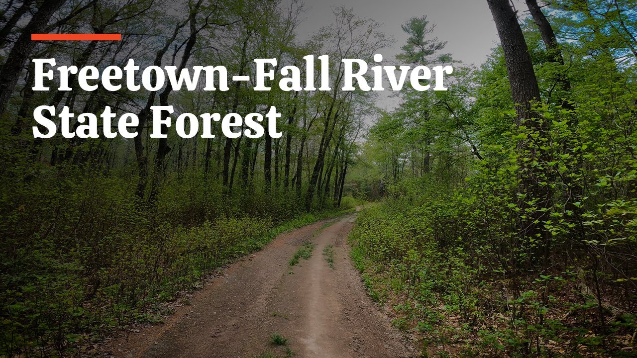 Freetown-Fall River State Forest | 4K | POV | No Talking - YouTube