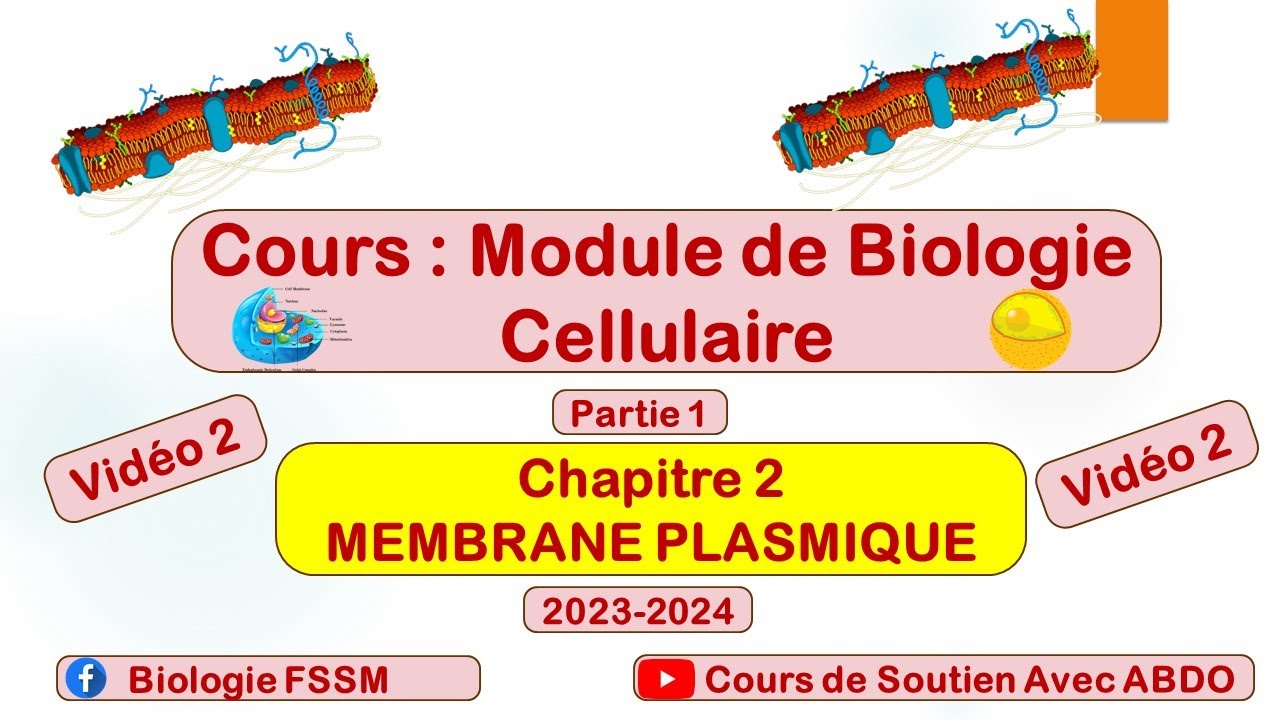 Biologie Cellulaire BCG S1 : Partie de la membrane plasmique (vidéo 2 ...