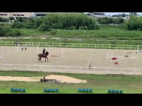 Saint Boy - Pentathlon horse - YouTube