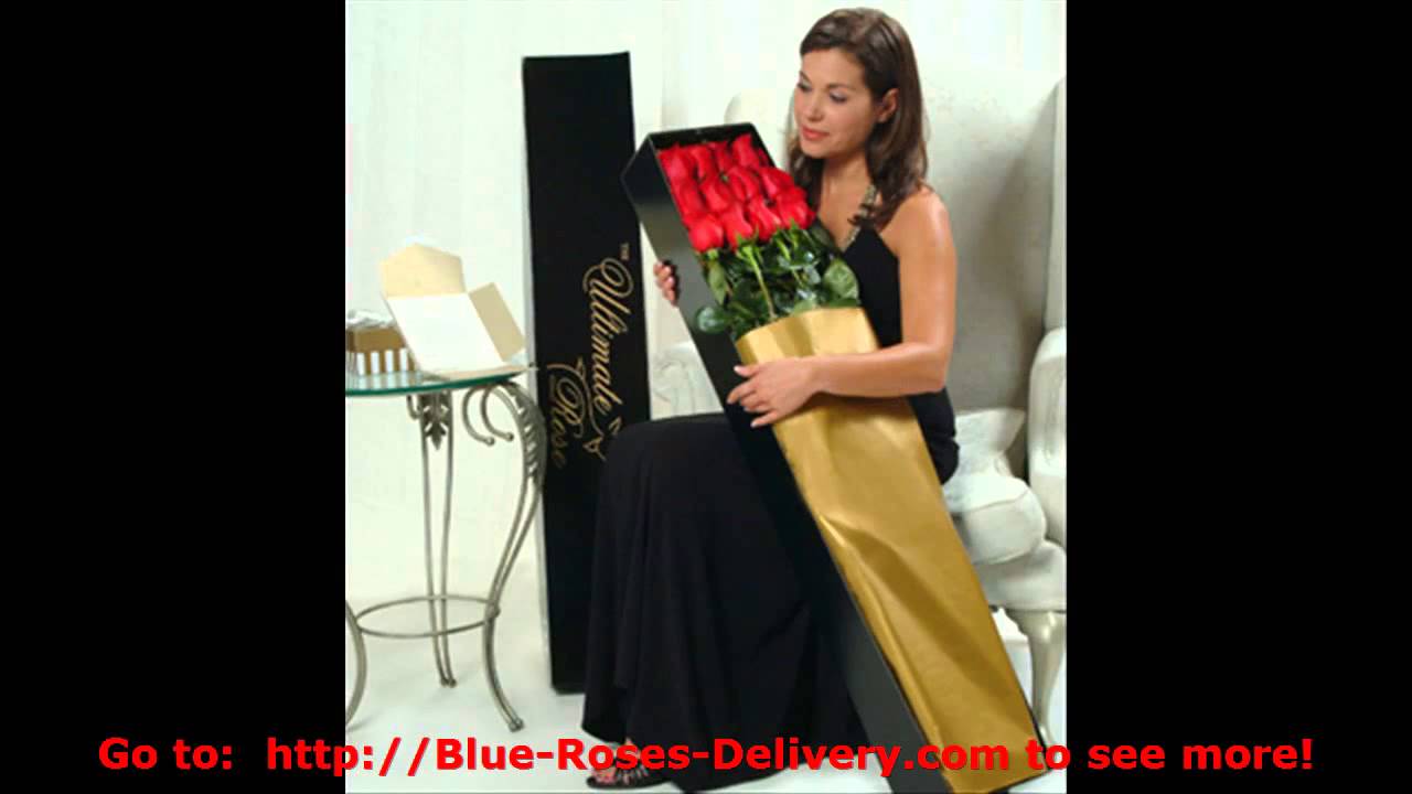 3 Ft Roses - Ultimate Roses - Send Red Roses - 3 Foot Tall Roses - YouTube