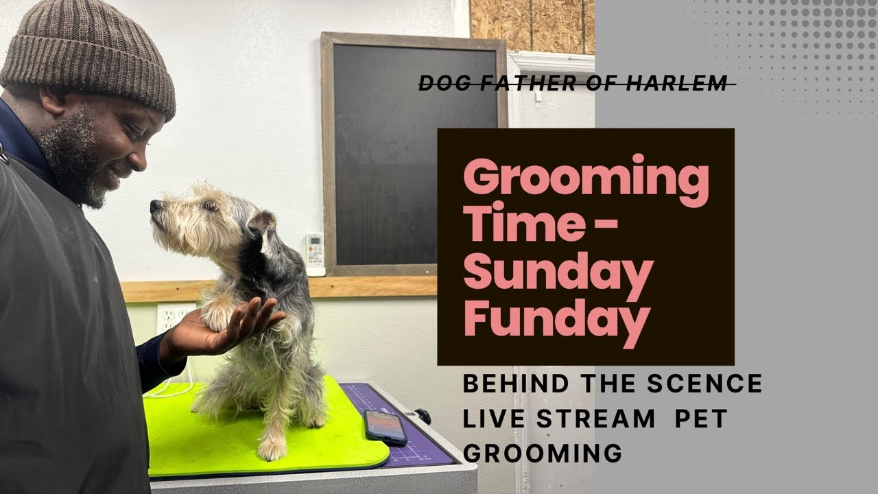 Dog Father of Harlem: The Revolution Will Be Furred - YouTube