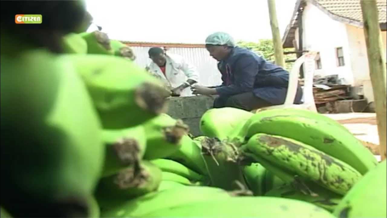 Smart Farm Banana Value Addition Youtube