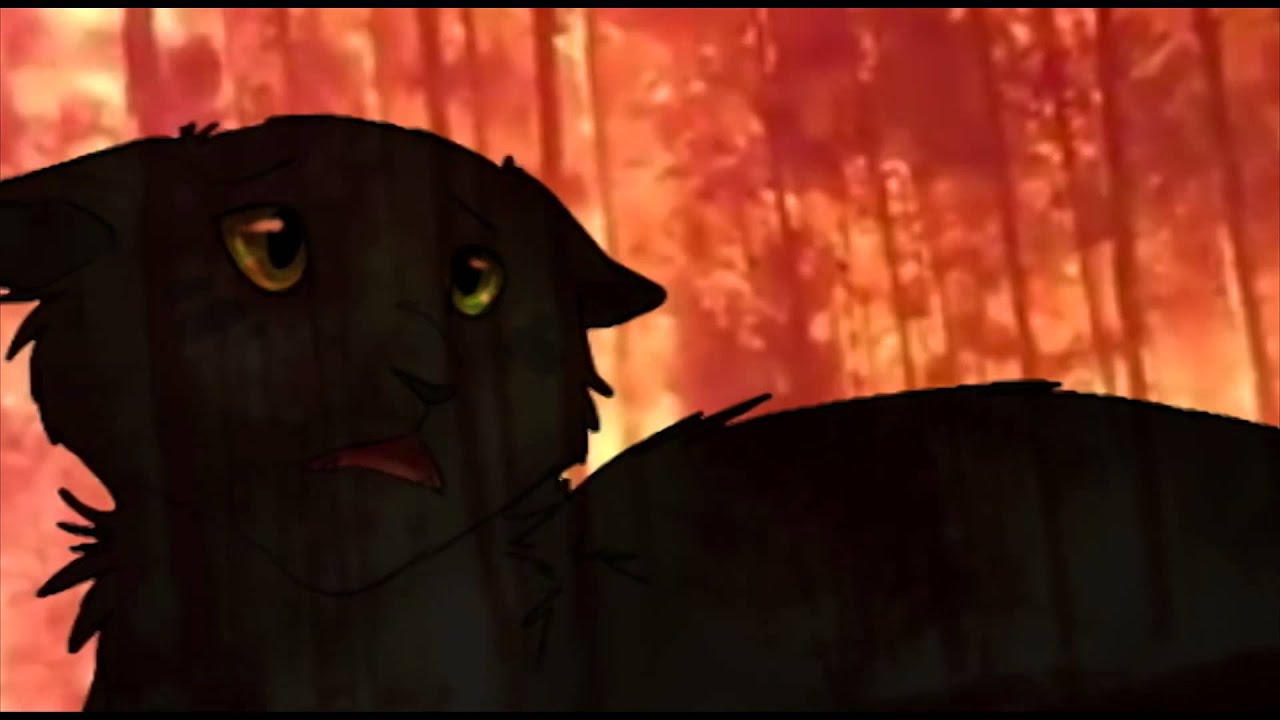 (MAP) On Fire - YouTube