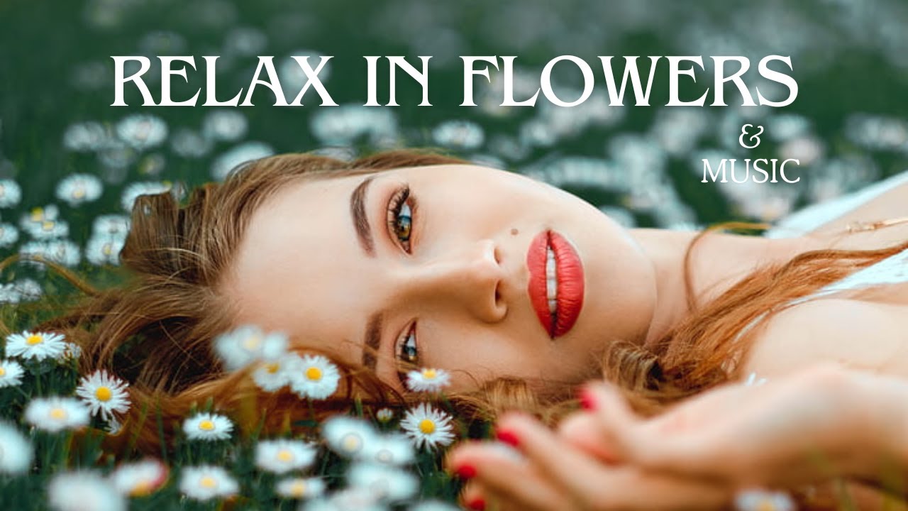 Relax In Flowers: Soft Calm Music & Colorful Flowers For Meditation ...