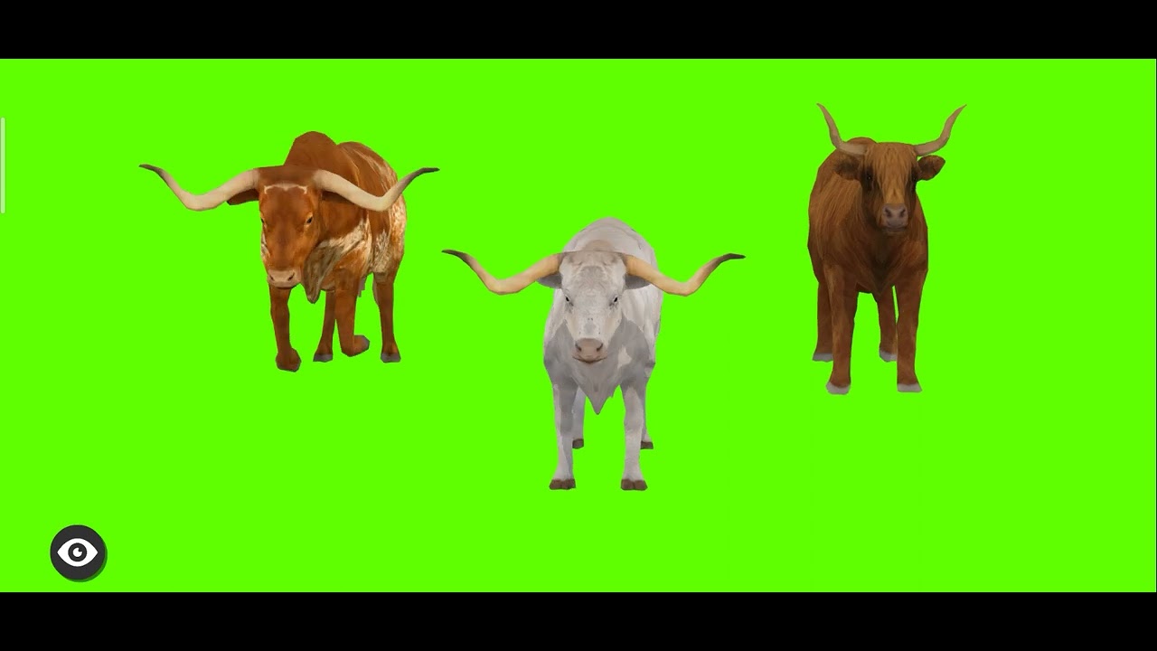 Cows attack Green Screen | Green screen cows | Green screen cartoon ...