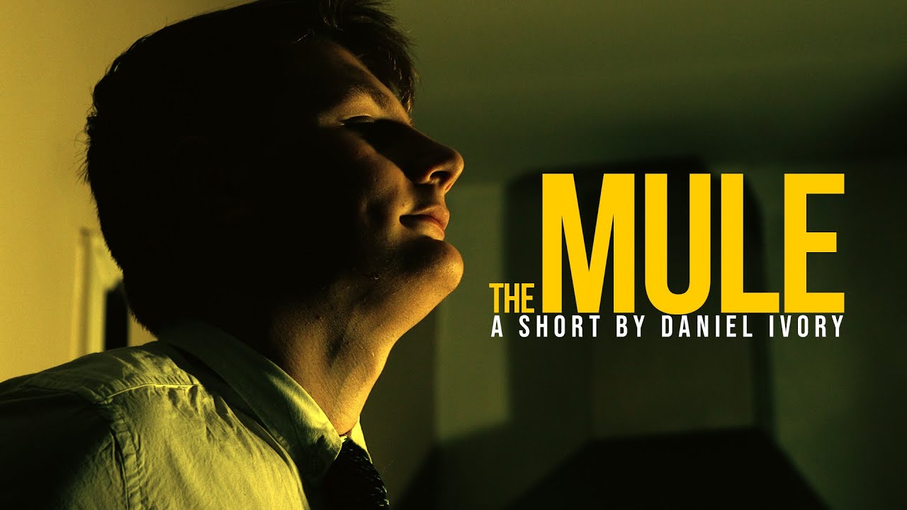 THE MULE (a student short film) - YouTube