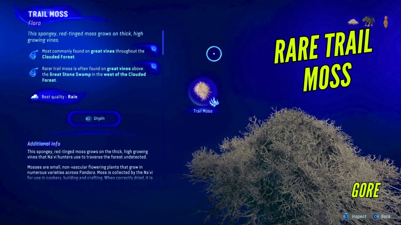 Where to find Rare Trail Moss in Avatar Frontiers of Pandora - YouTube