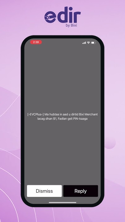 EVC Plus to Perfect Money - YouTube