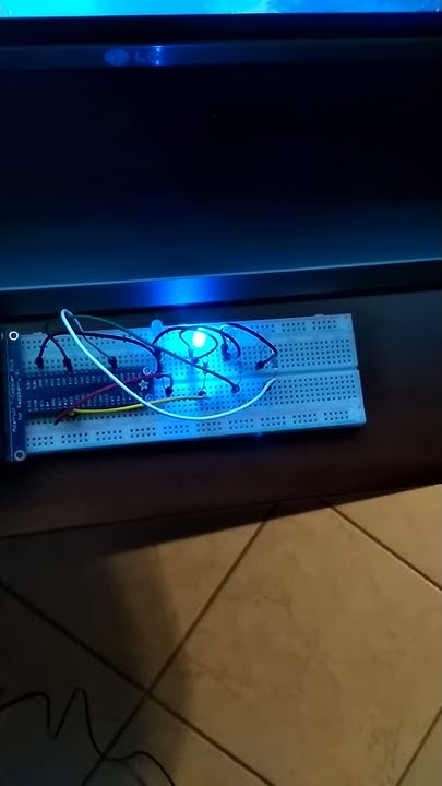 Raspberry Pi Blinking LEDs - YouTube