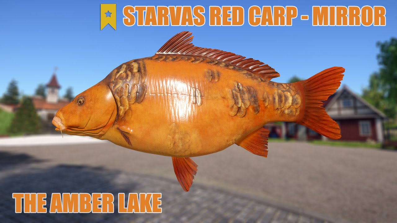 Russian Fishing 4 - The Amber Lake, Trophy Starvas Red Carp - Mirror ...