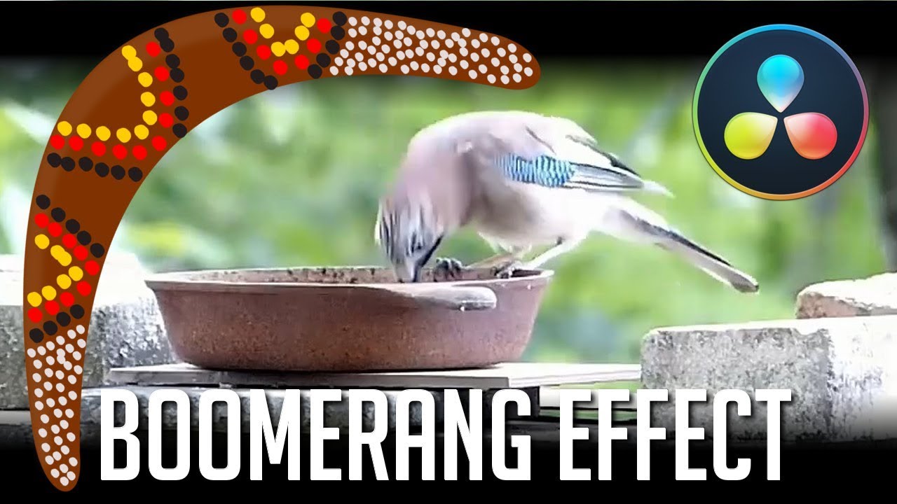 How to Make a Boomerang Style Loop Effect in DaVinci Resolve 14 / 15 ...